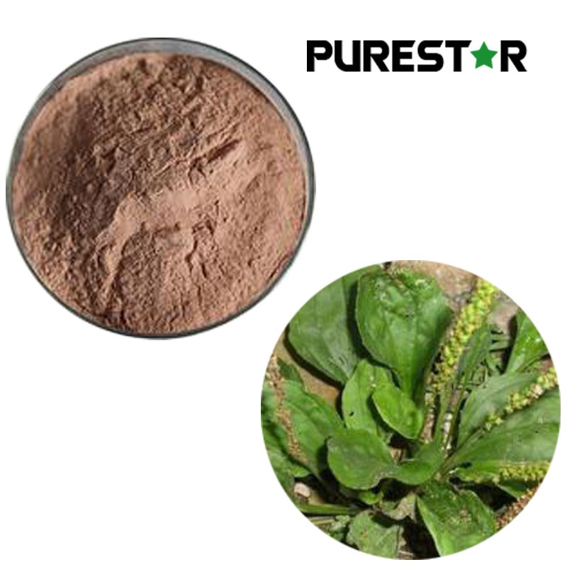 Asiatic Plantain Extract