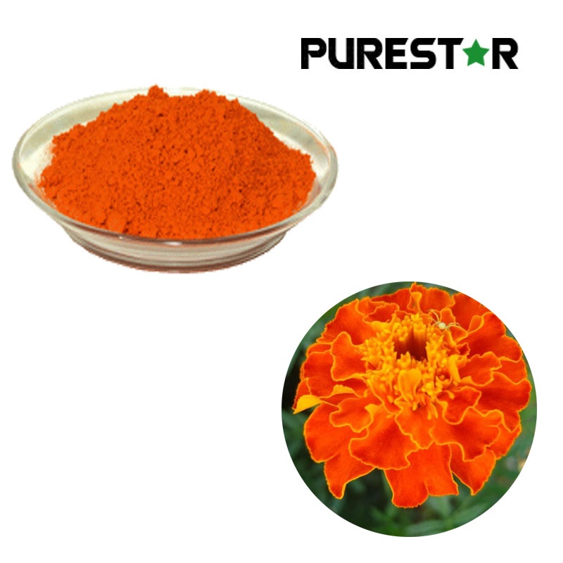 Marigold Flower Extract Lutein Powder | Natural Carotenoid Supplier China