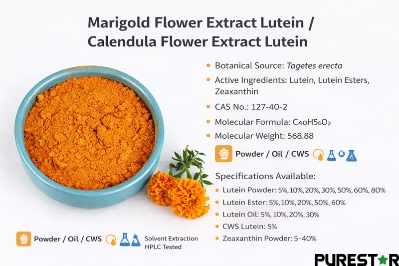 Marigold Flower Extract Lutein Powder | Natural Carotenoid Supplier China